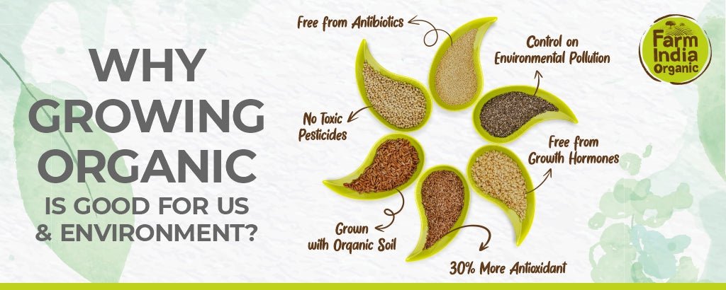 The Importance Of Leading The Organic Way Of Life – Farm India Organic