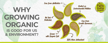 The Importance Of Leading The Organic Way Of Life – Farm India Organic